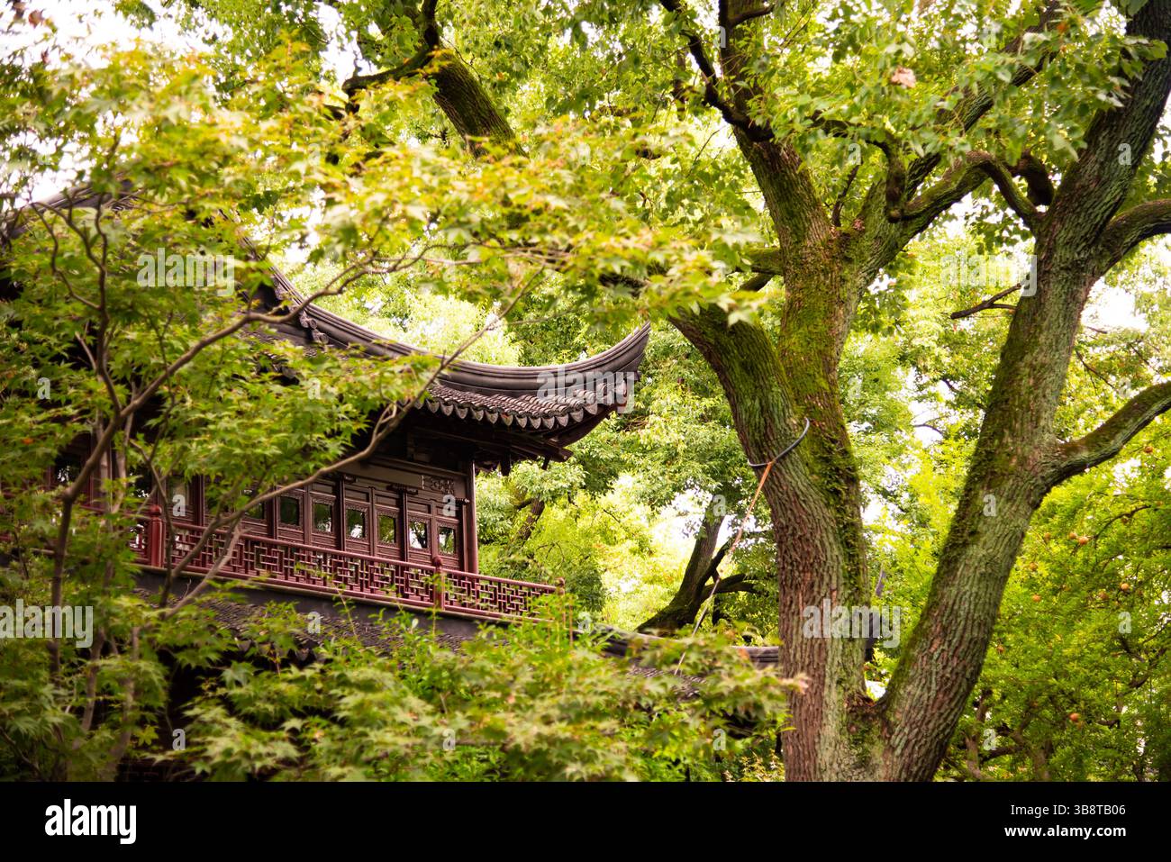 Traditional chinese architecture among trees of Yu garden in Shanghai ...