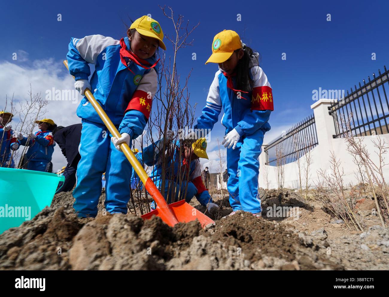(250508) -- LHASA, May 8, 2025 (Xinhua) -- Pupils plant trees in Nagqu ...