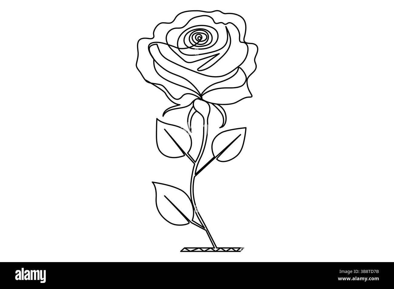 Rose flower continuous single line art drawing of outline vector ...