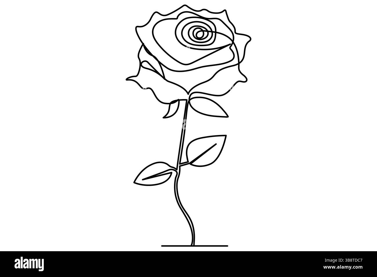 Rose flower continuous single line art drawing of outline vector illustration Stock Vector Image ...