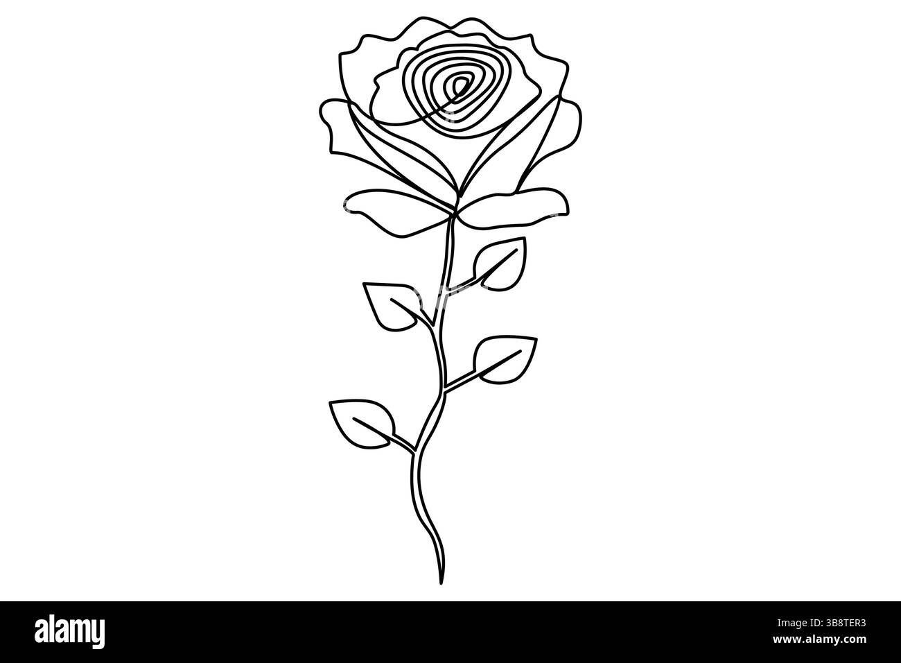 Rose flower continuous single line art drawing of outline vector illustration Stock Vector Image ...