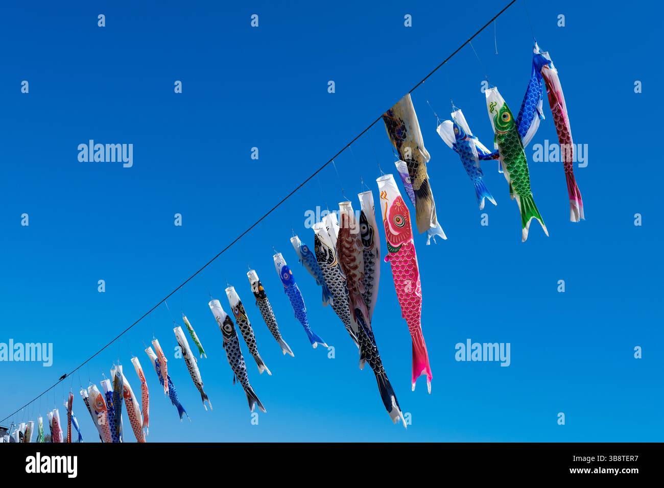 Koinobori (Japanese carp streamer) under the blue sky. Japanese child's ...