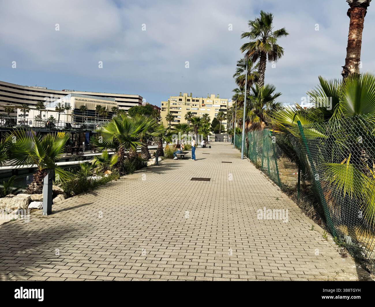 La Linea, Spain - May 01, 2025: Pathway lined with palms under a sunny sky in scenic La Linea de ...