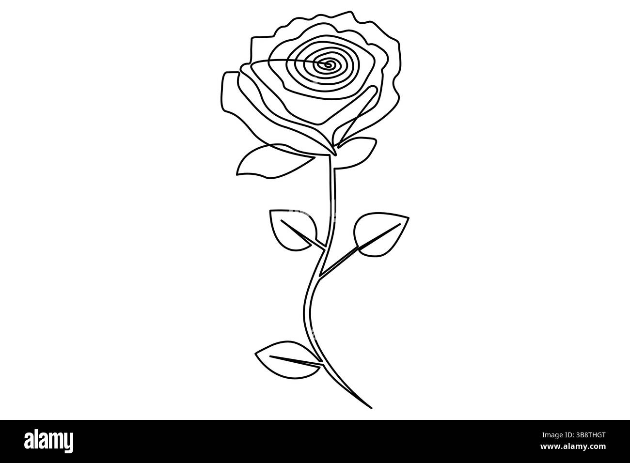Rose flower continuous single line art drawing of outline vector illustration Stock Vector Image ...