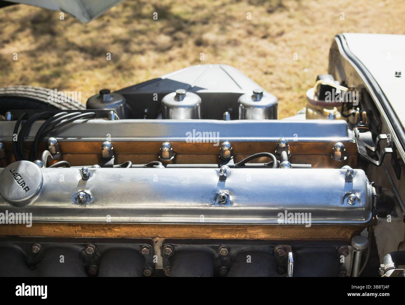 Jaguar engine in Jaguar E-type 4.2 Coupe. Vintage sport car engine ...