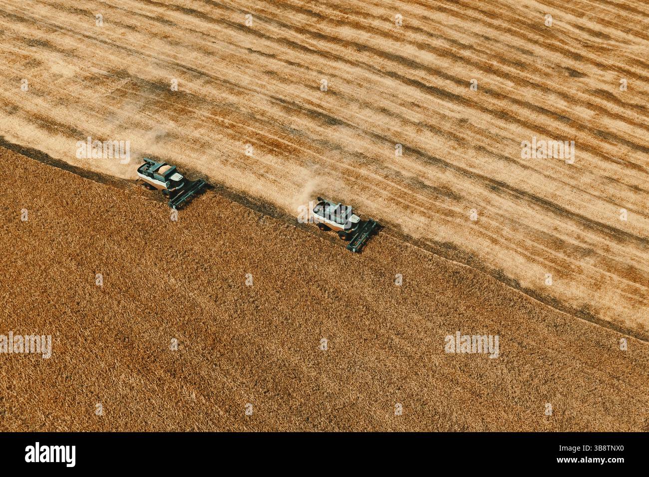 Collecting wheat harvesters in summer hi-res stock photography and ...