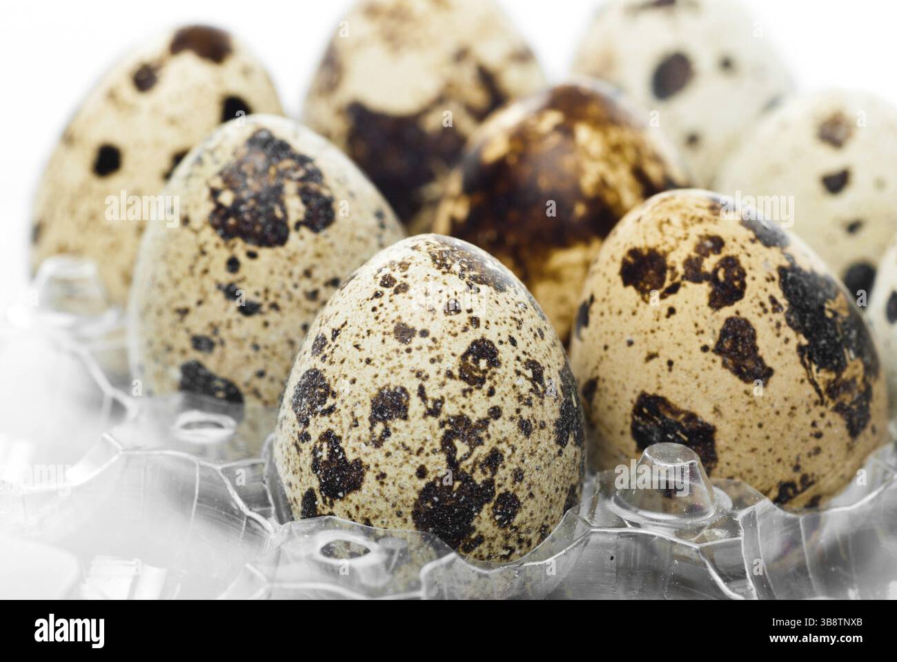 Quail's eggs in packing on white Stock Photo - Alamy