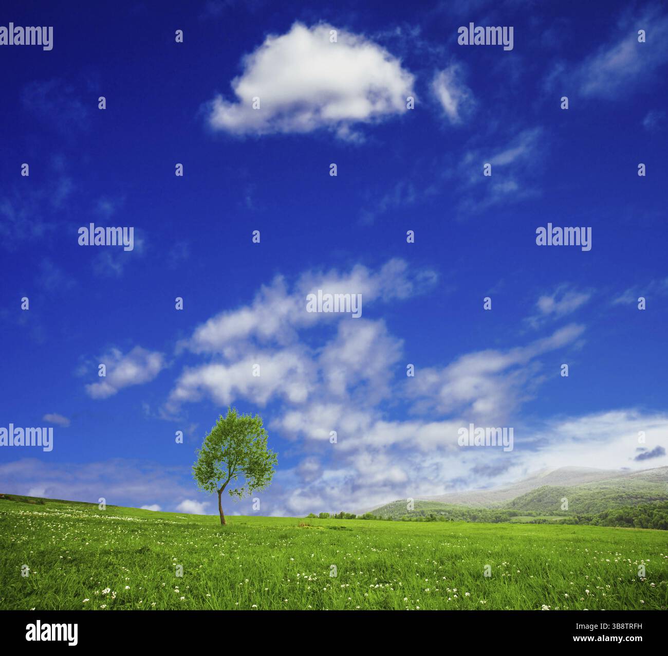 Cloudy sky over grass meadows hi-res stock photography and images - Alamy