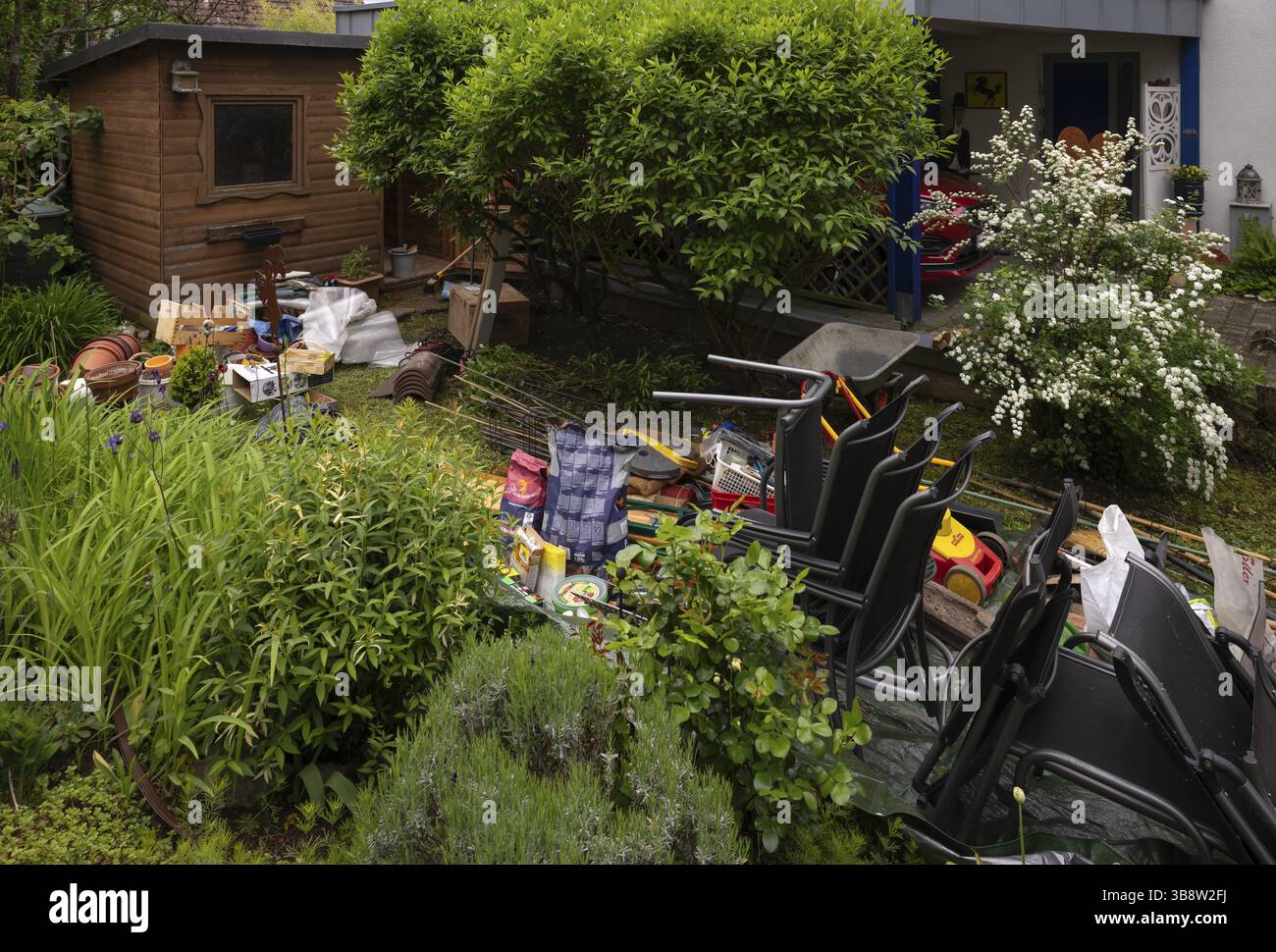 Garden with garden shed, full of rubbish, junk, rubbish, littered ...