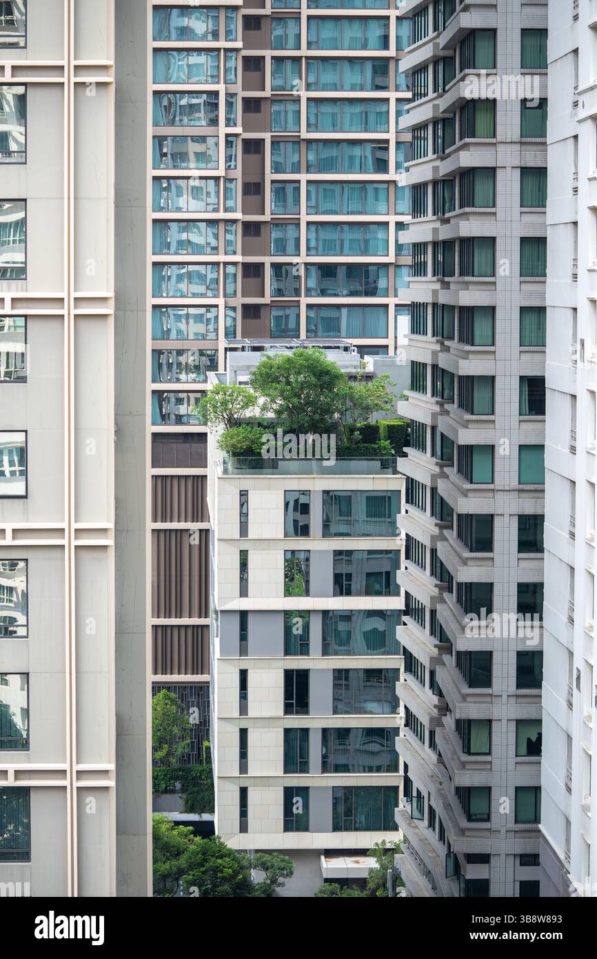 Rooftop pool and garden on skyscraper floor with trees and bushes, high ...