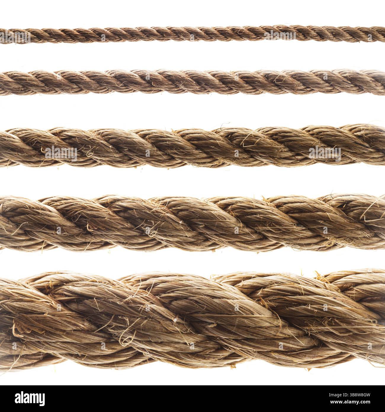 Collage of various thickness rope isolated on white Stock Photo - Alamy