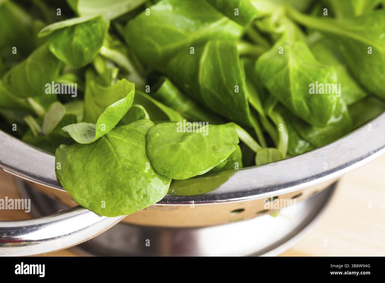 Close up young corn in hi-res stock photography and images - Alamy