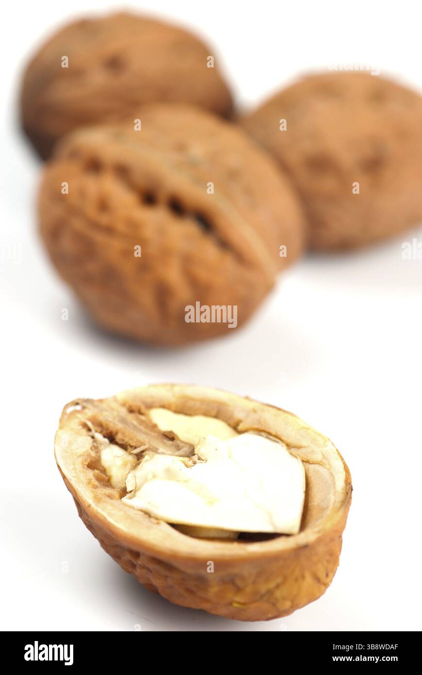 Walnut and part of fresh nut isolated on white background Stock Photo ...