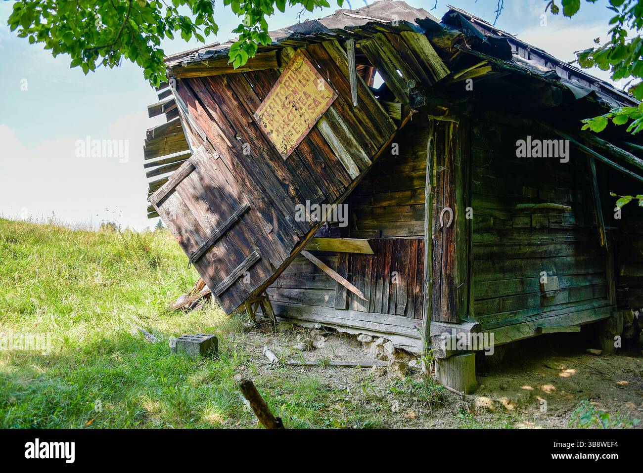 Old wooden cabin with severely collapsed roof and leaning walls on a ...