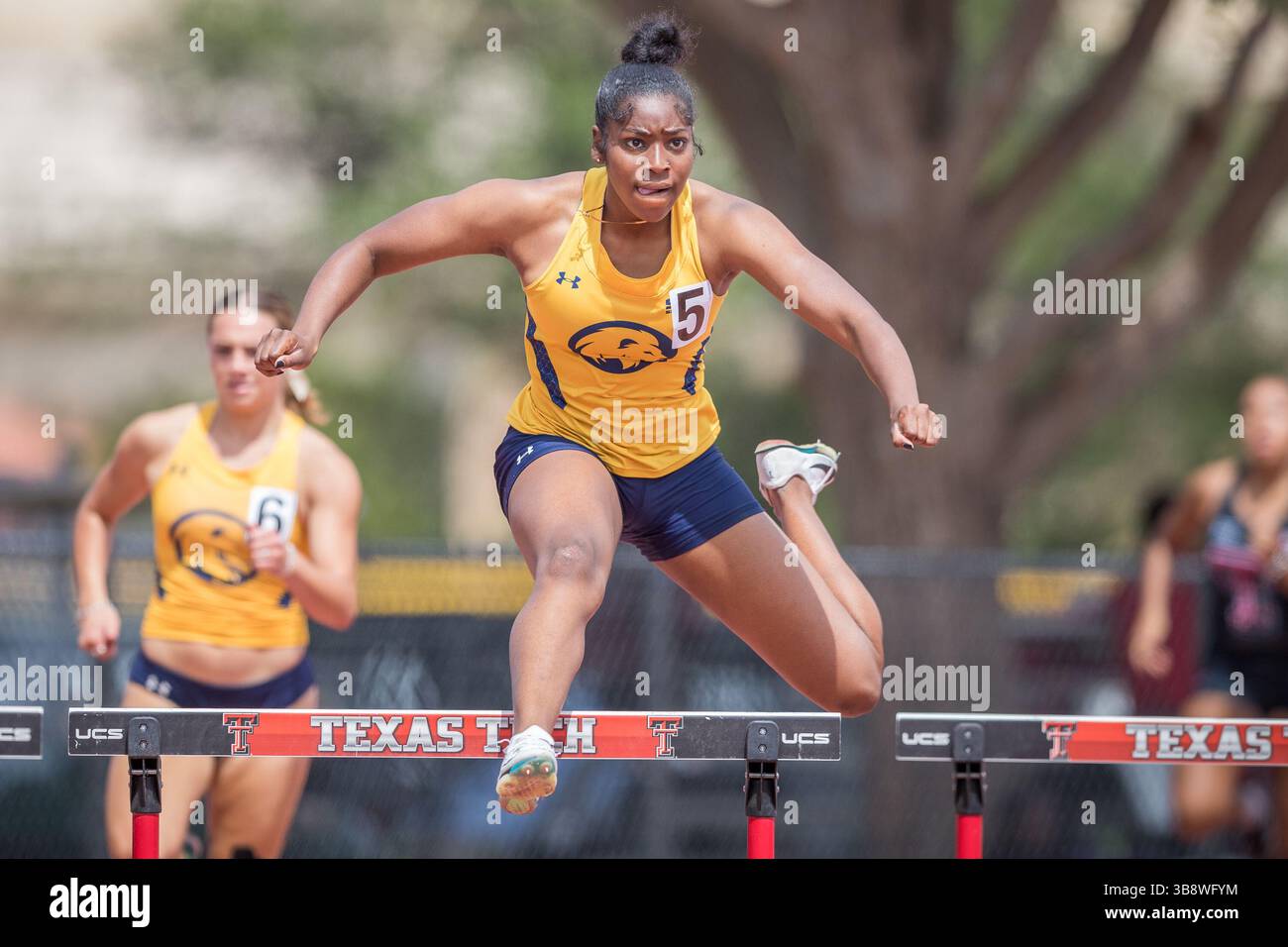Lubbock, Texas, USA. 1st May, 2025. East Texas A&M Lions athlete Kayla ...
