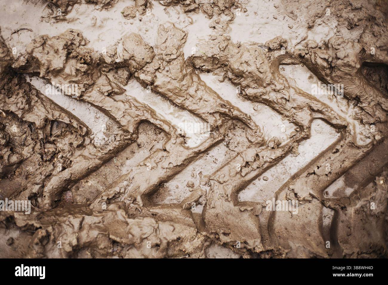 Tire track pattern in wet mud closeup. Offroad vehicle wheel mark on ...
