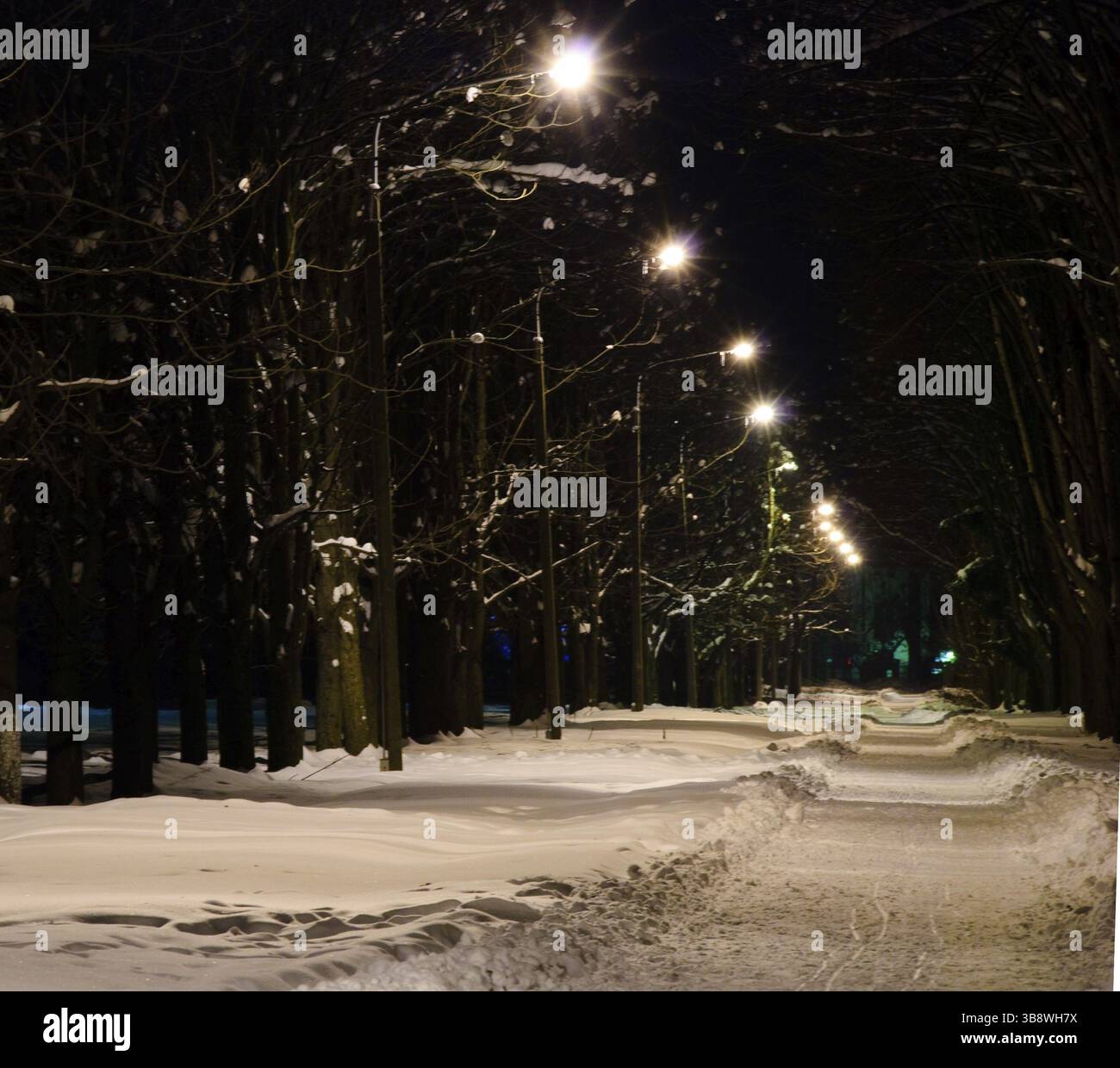 Night park's alley under the snow illuminated Stock Photo - Alamy