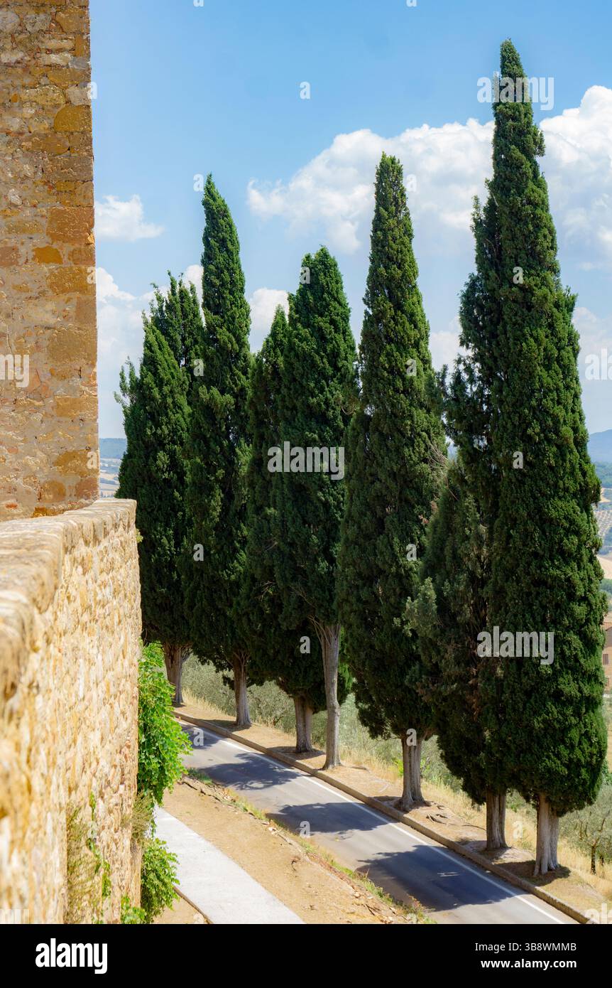 Iconic tree of tuscany hi-res stock photography and images - Alamy