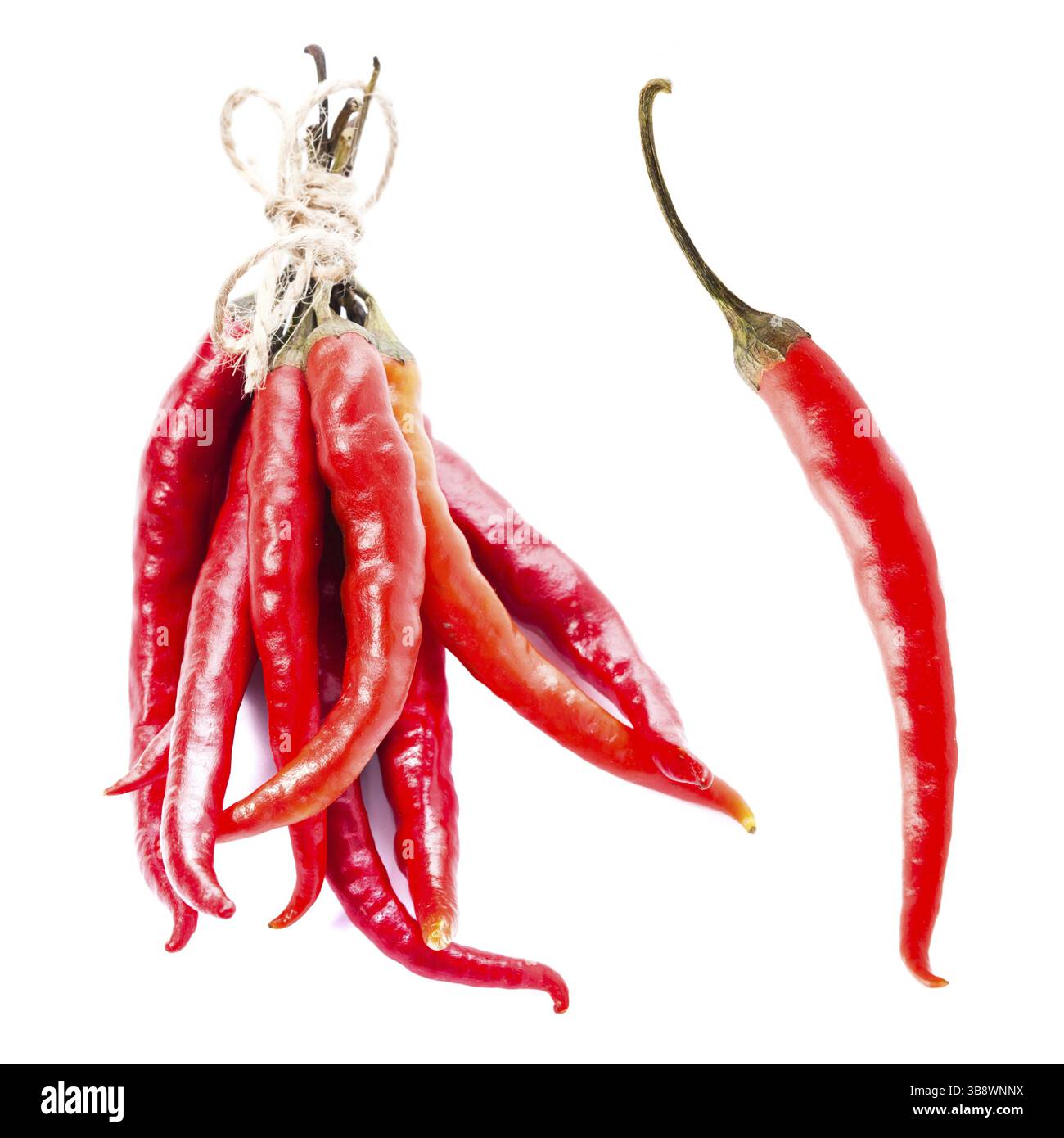 Red chilli on plant hi-res stock photography and images - Alamy
