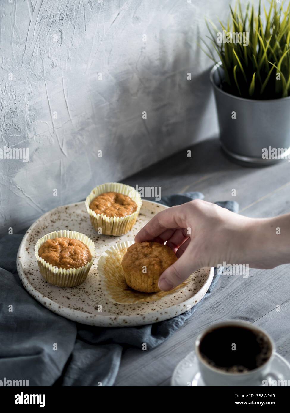 Homemade muffins on craft plate over gray wooden table. Hand hold ...