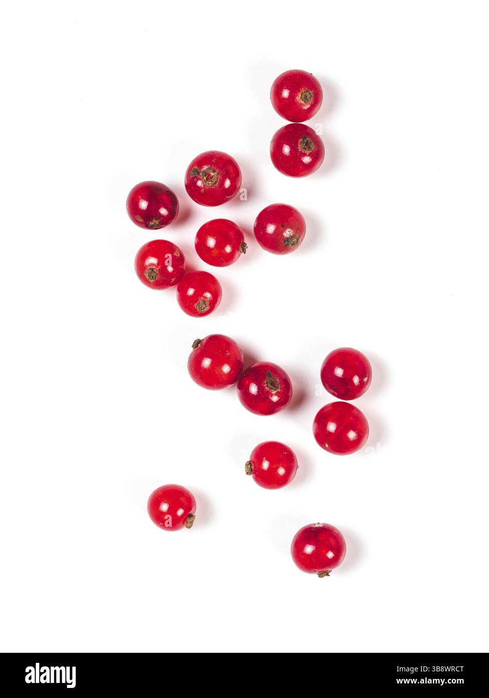 Bird fruit diet Cut Out Stock Images & Pictures - Alamy