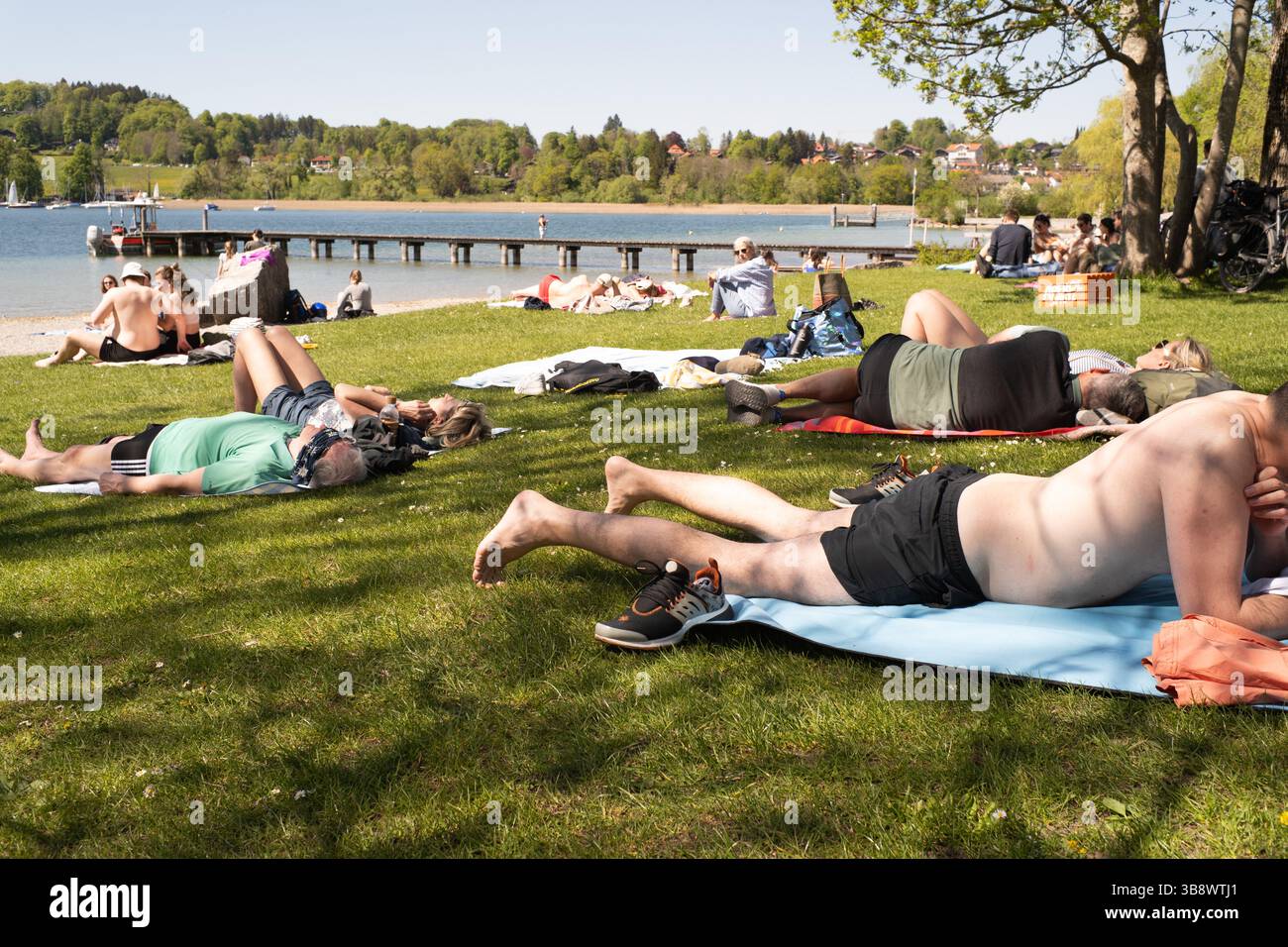 Group relaxing on lush lakeside lawn with dock and bicycles - people ...