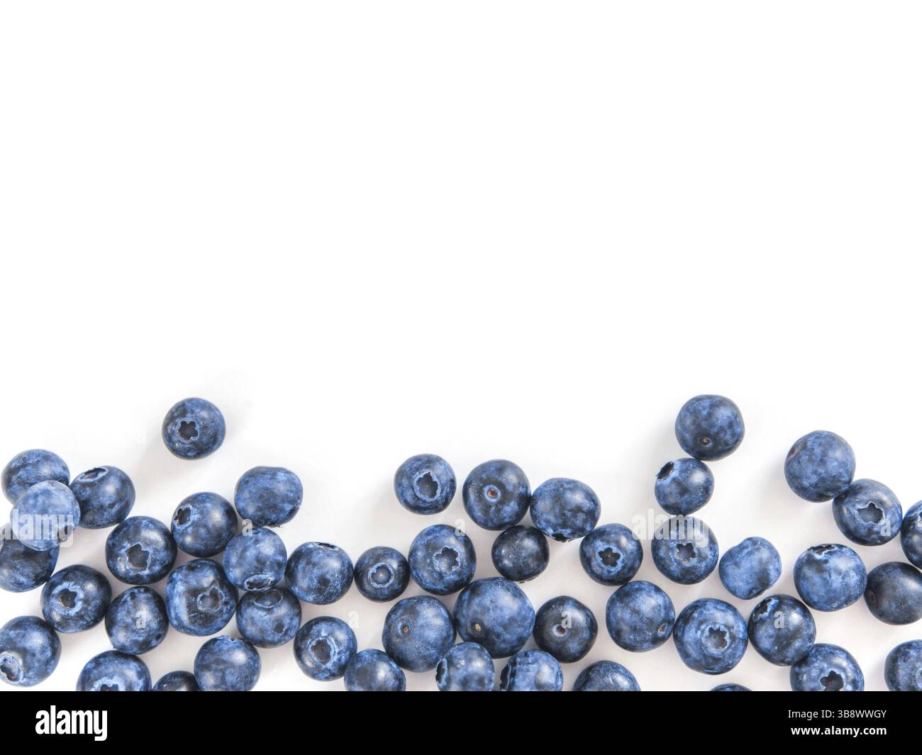 Creative layout with fresh ripe berries. Blueberry isolated on white ...