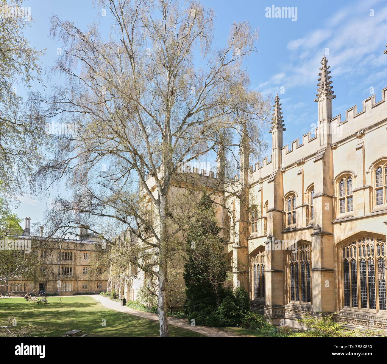 Bodleian Convocation House and Divinity School library border the ...