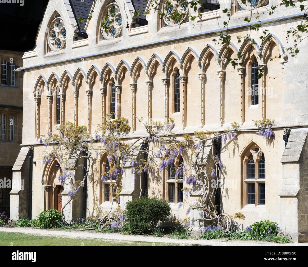 Library in the Fellows' Garden at Exeter College, University of Oxford ...