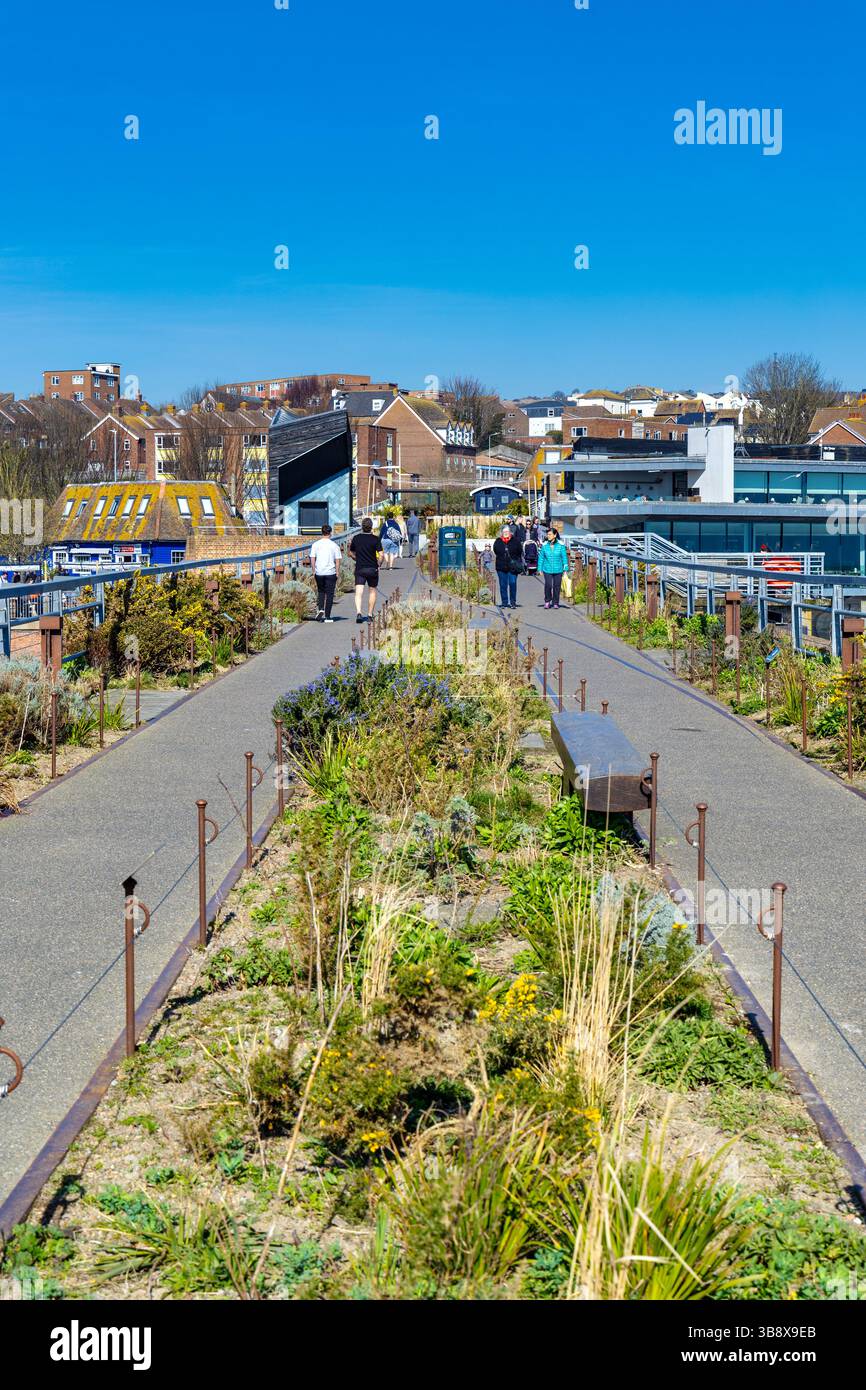 People walking along the landscaped linear park and walkway Folkestone ...
