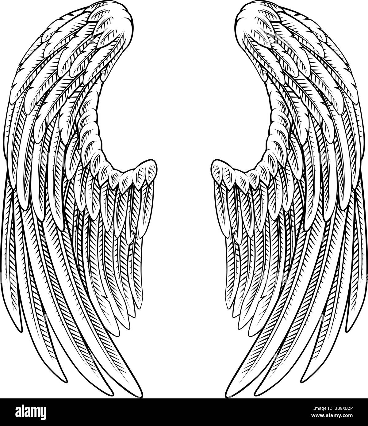 Angel Eagle Pegasus Feather Wings Illustration Stock Vector Image & Art ...