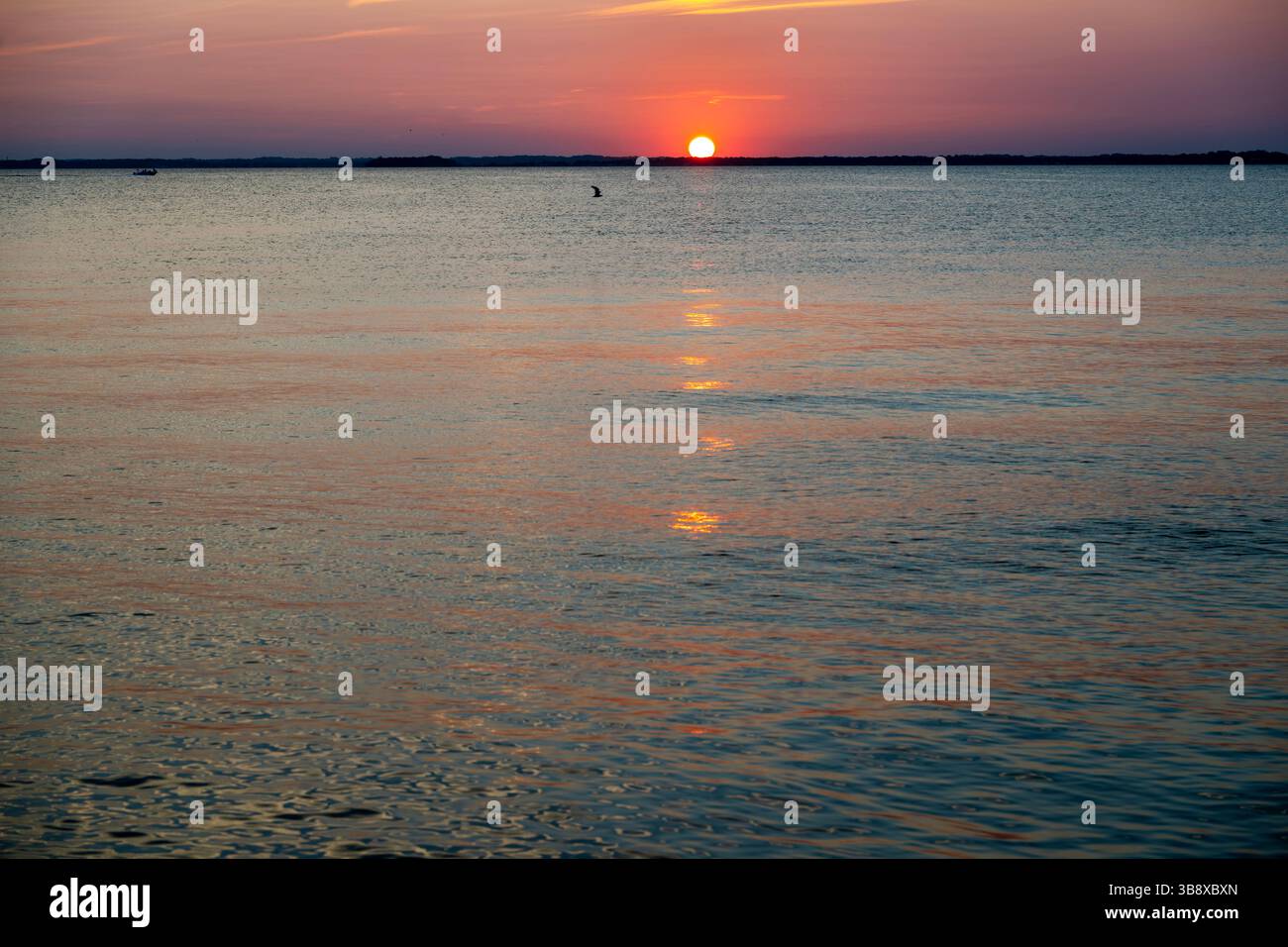 Third largest estuary in the world hi-res stock photography and images ...