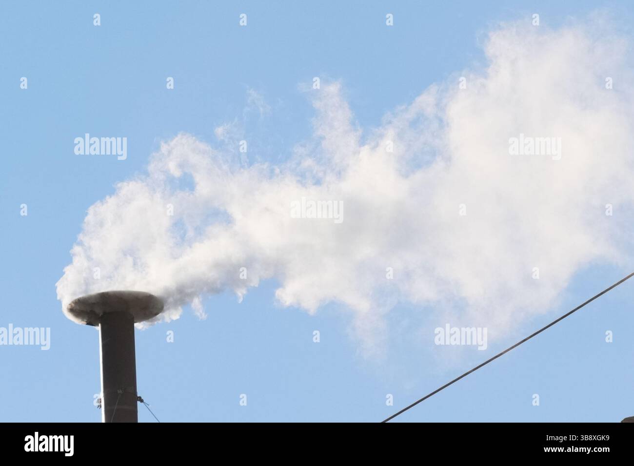 White smoke billows from the chimney of the Sistine Chapel during the ...