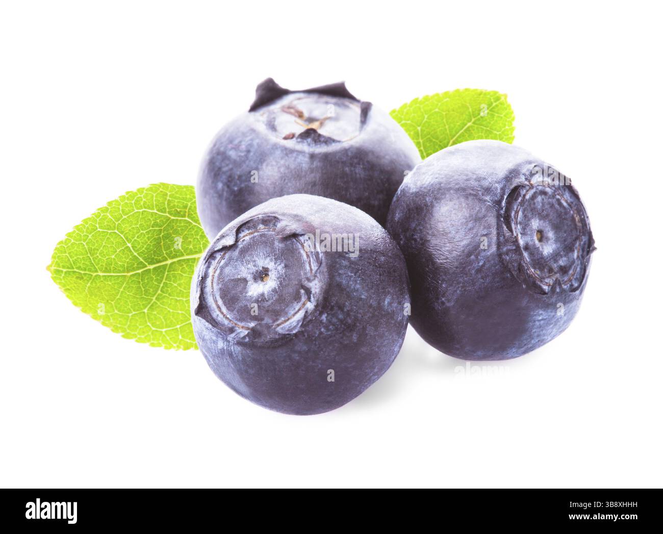 Blueberry berries close up isolated on white Stock Photo - Alamy