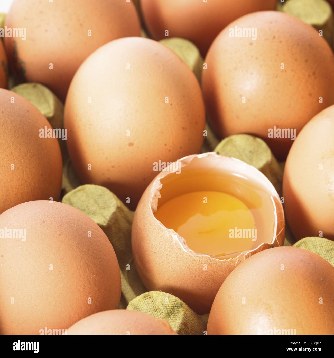A raw egg in the shell in the cardboard shelf Stock Photo - Alamy