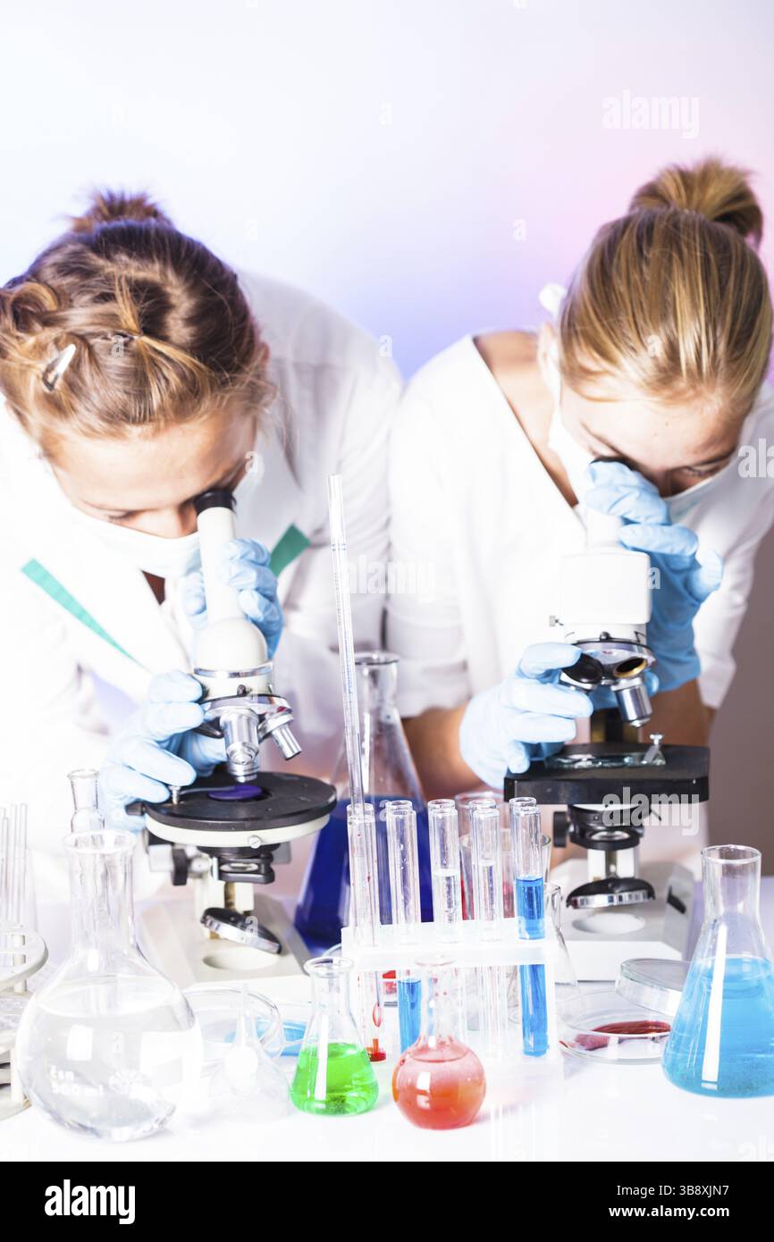 Two scientists in the chemical laboratory are doing experiments Stock ...