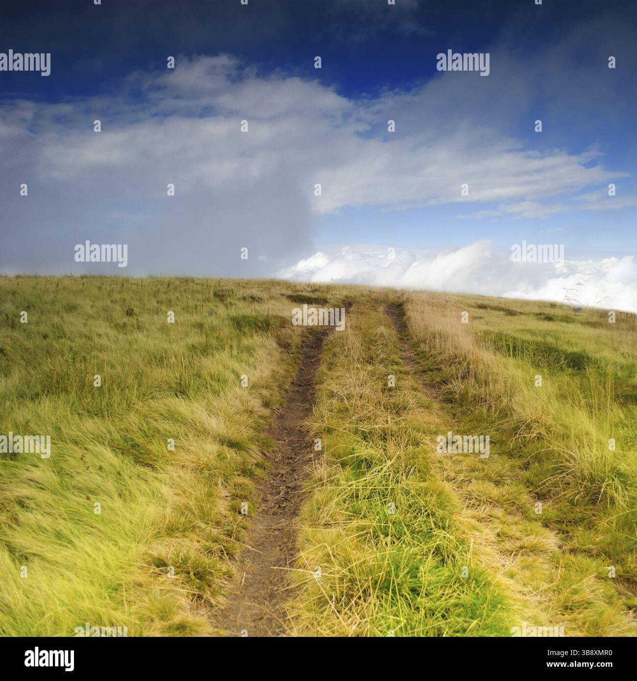 Road to heaven, panorama from mountain path and blue sky Stock Photo ...