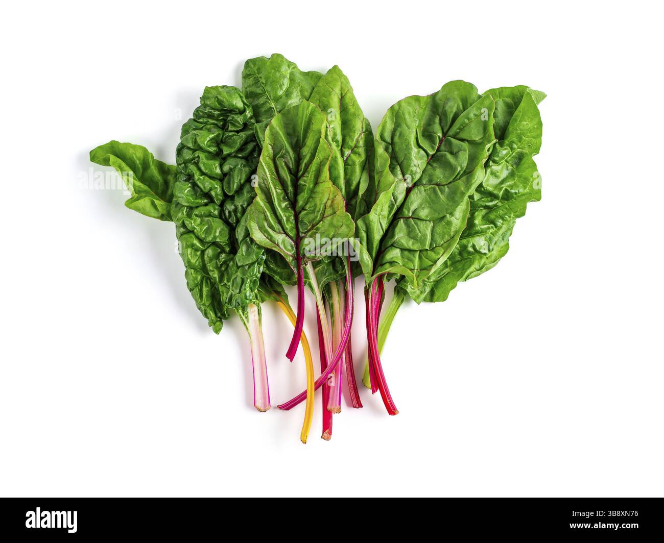 Colourful birds eye view Cut Out Stock Images & Pictures - Alamy