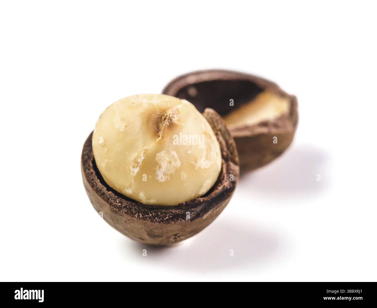 Peeled macadamia nut on white background. One macadamia nut with open ...