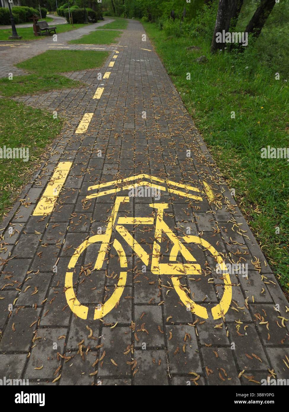 Yellow Bicycle road signs on the pavement in the park Stock Photo - Alamy