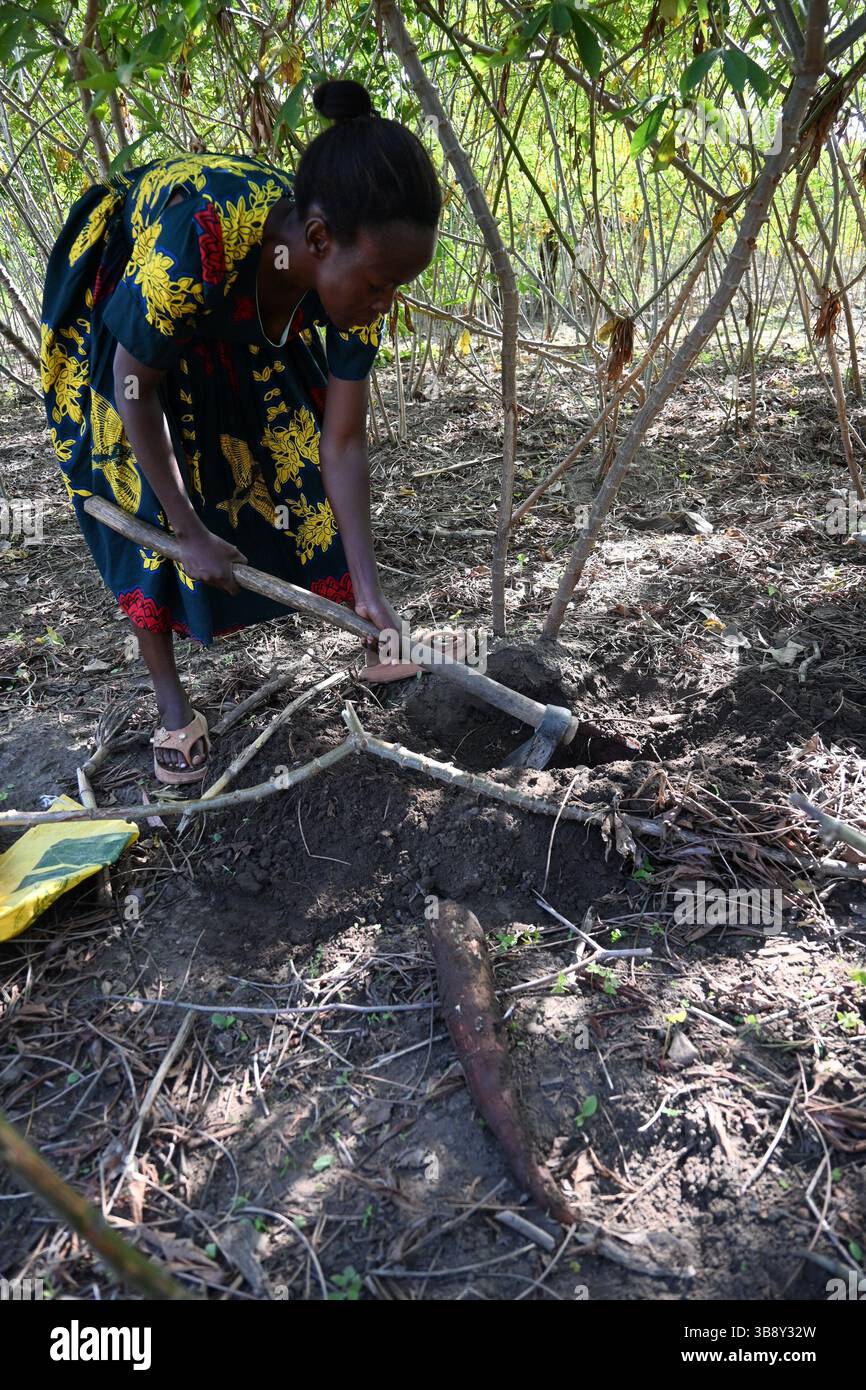Rural simple cooking on fire in Uganda, Africa Stock Photo - Alamy