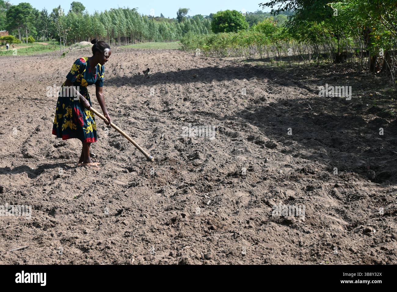 Rural simple cooking on fire in Uganda, Africa Stock Photo - Alamy