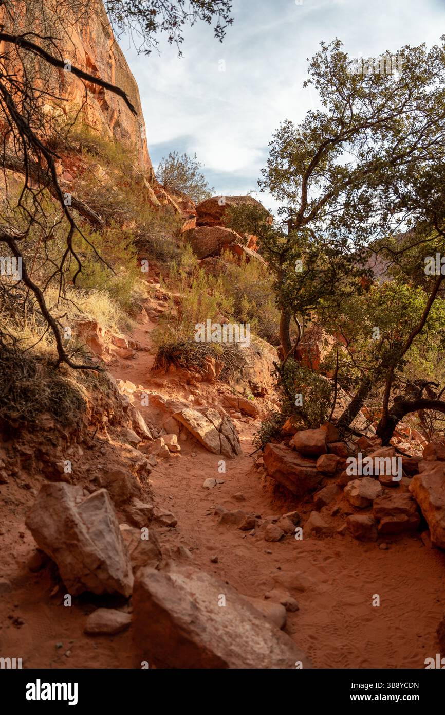 Snow Canyon State Park is a state park in Utah, located in the Red ...