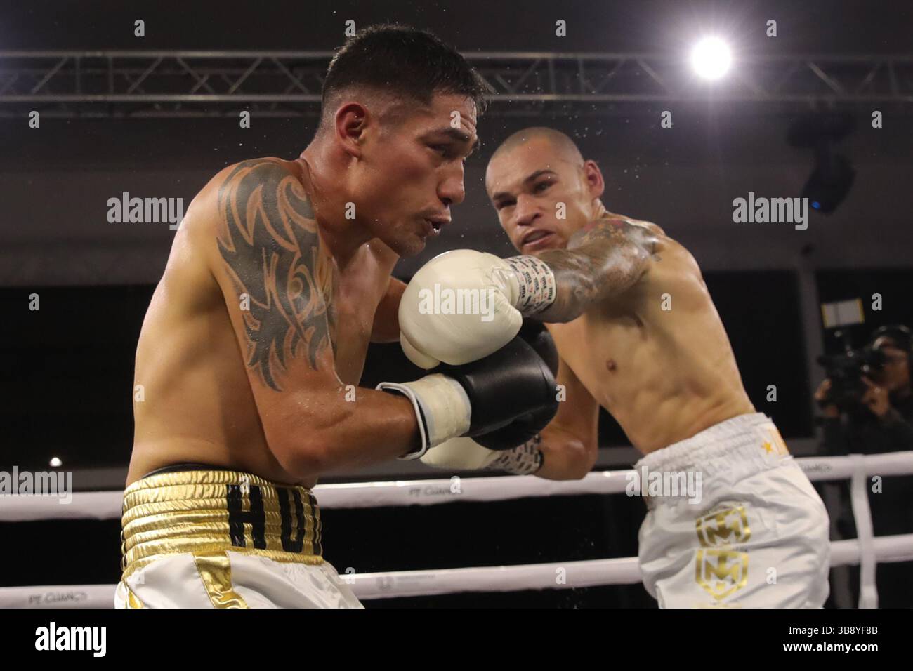 Pelea 2023 hi-res stock photography and images - Alamy