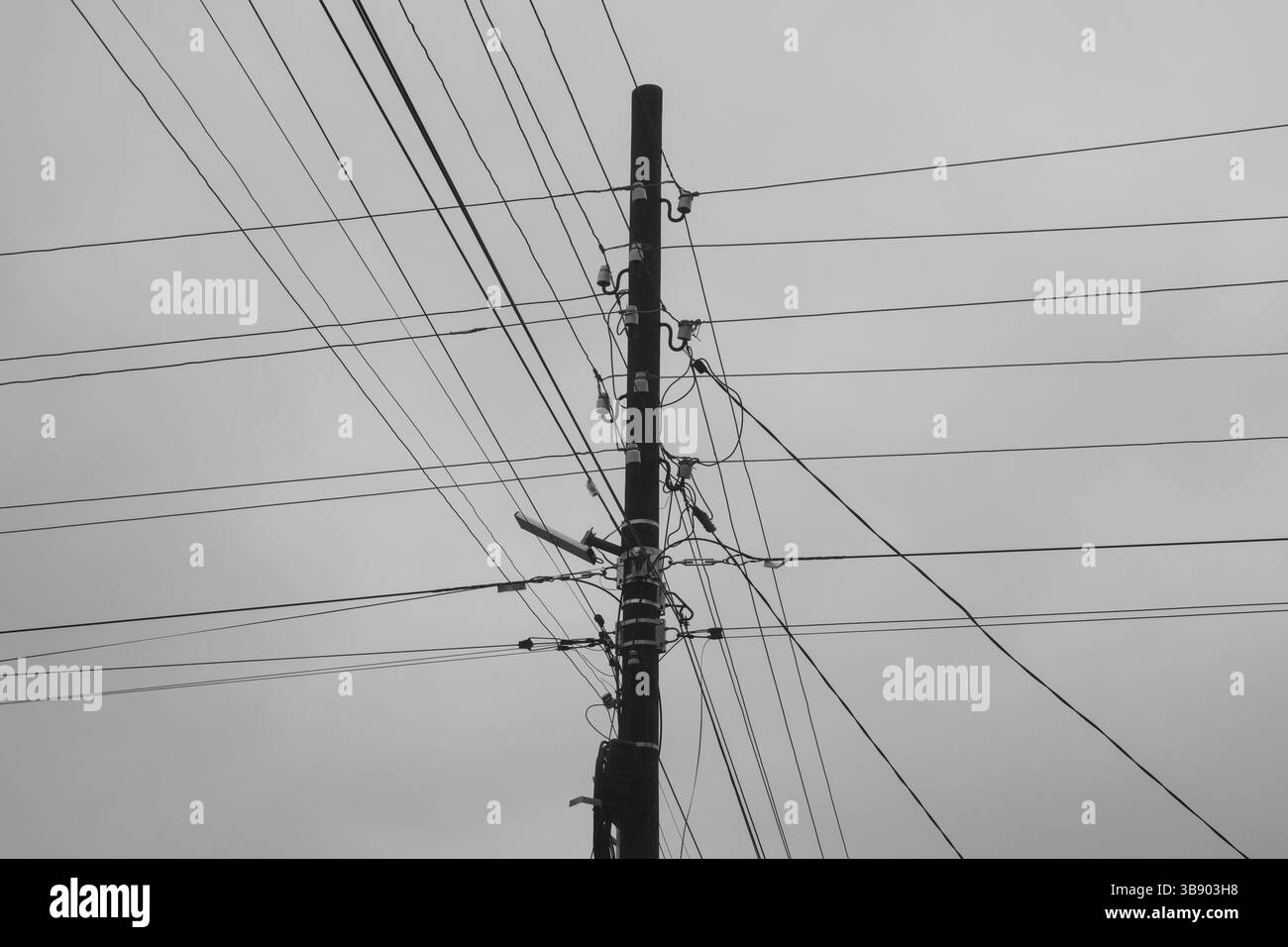 An electric post with many power lines on it. Black and white Stock ...