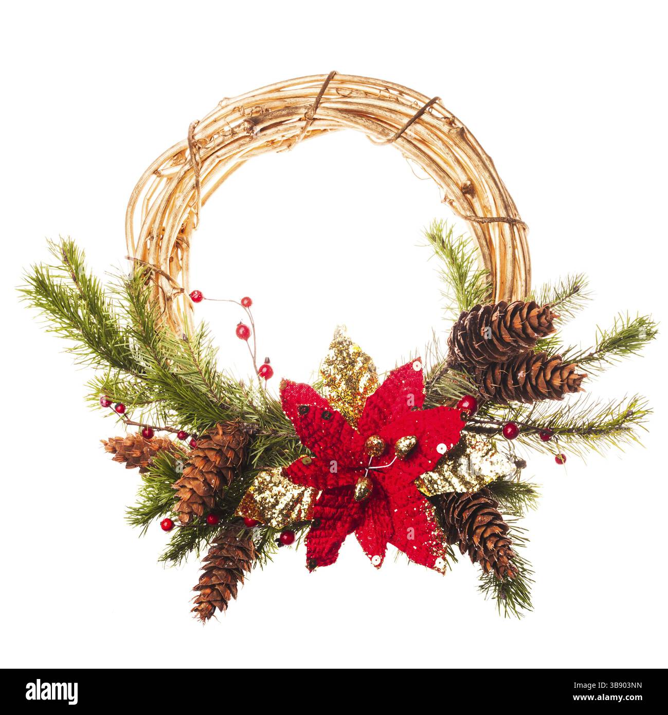 Willow tree branches on Cut Out Stock Images & Pictures - Alamy