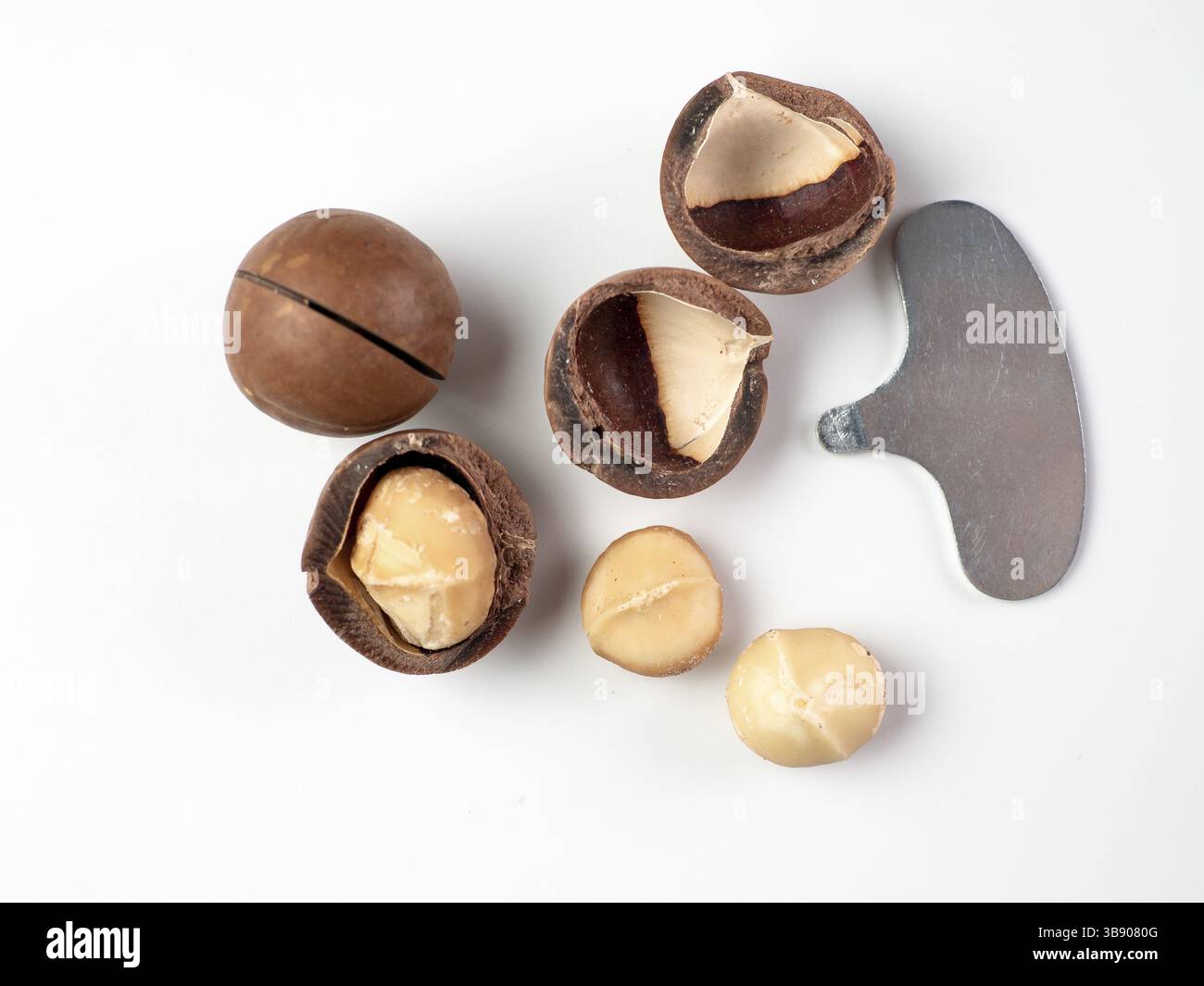 Set of macadamia nuts and nut cracker sheller on white background. Set ...