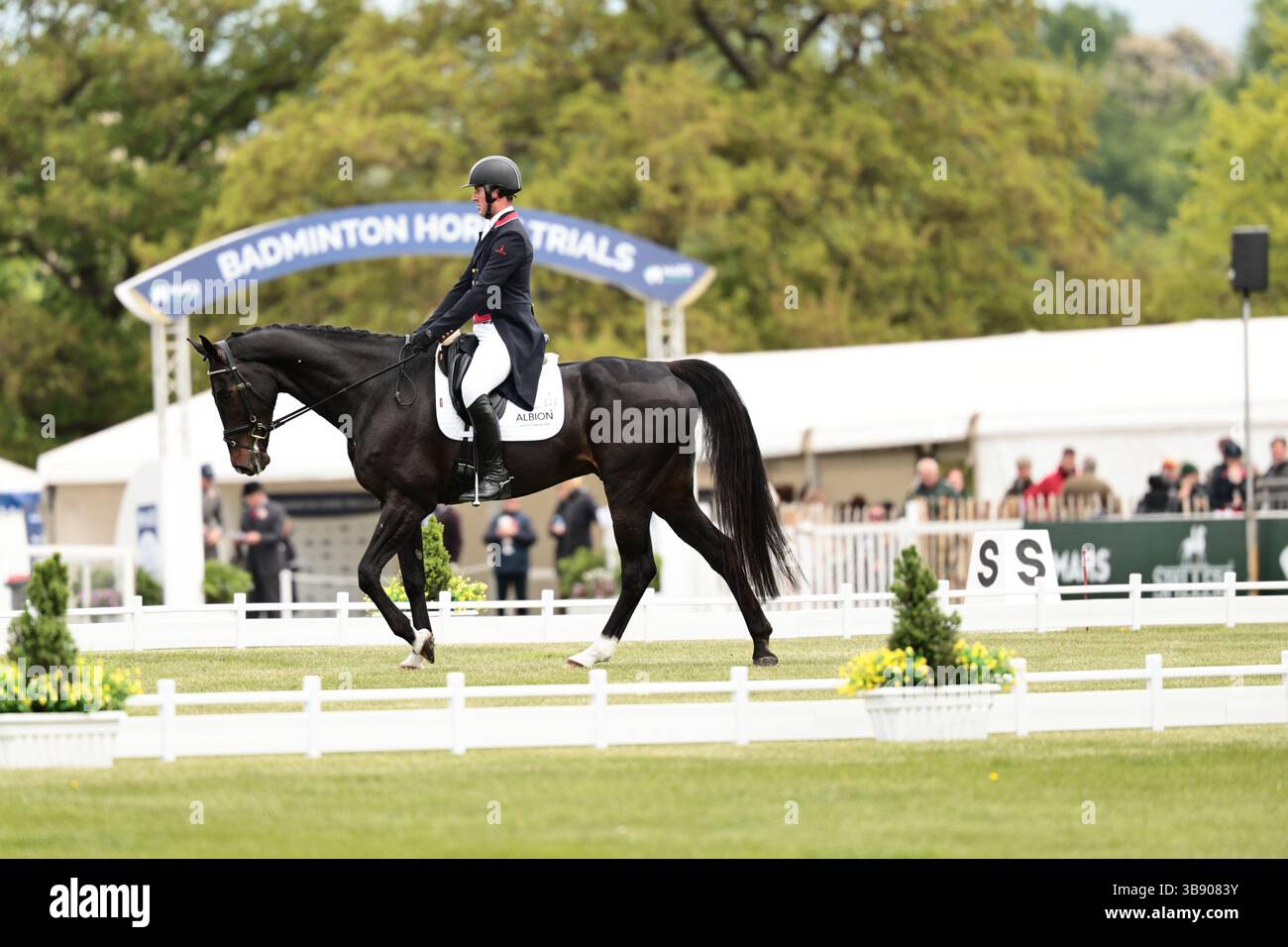 David Doel of Great Britain with Galileo Nieuwmoed during the dressage ...