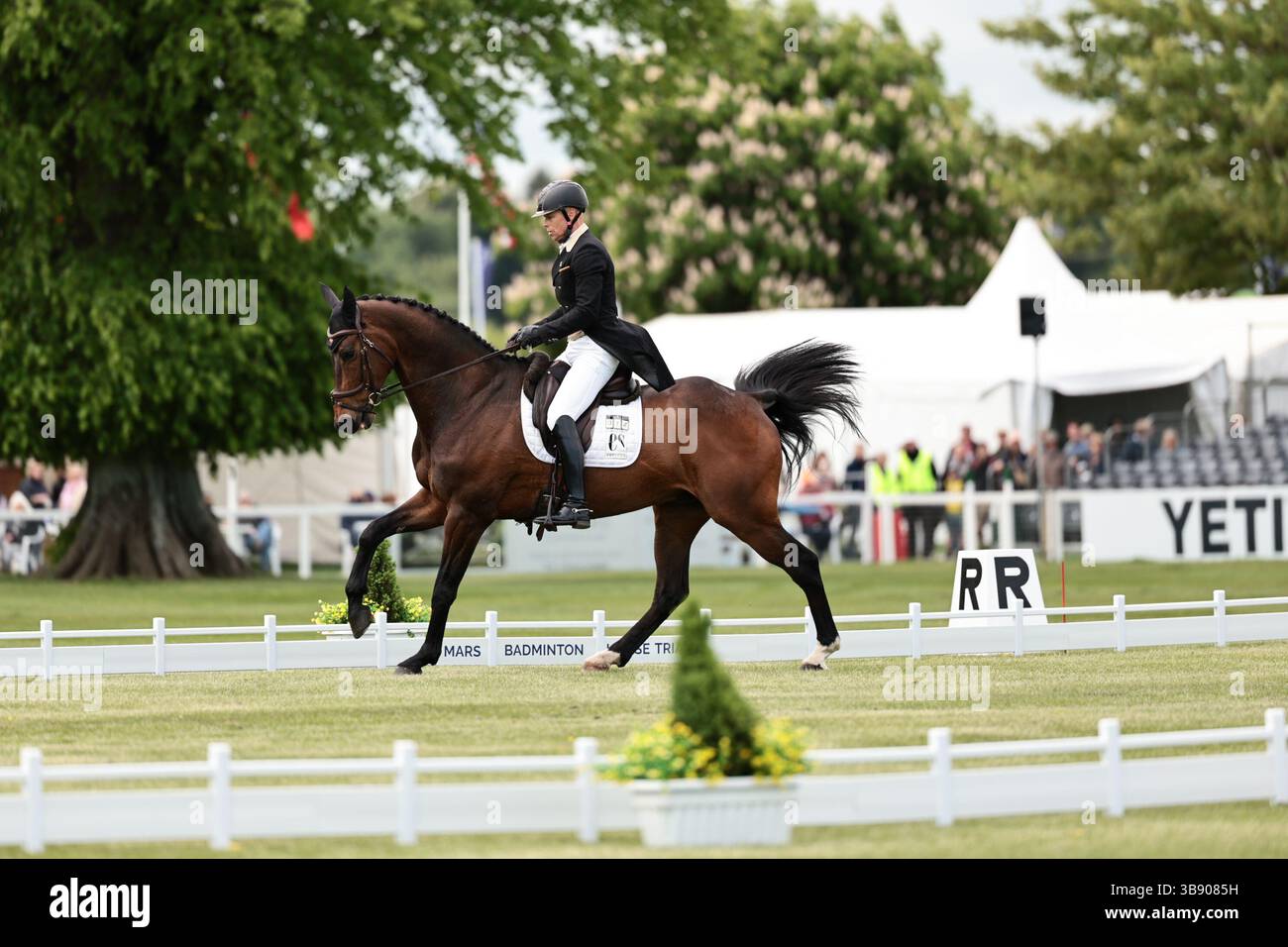 Aistis Vitkauskas of Lithuania with Commander VG during the dressage at ...