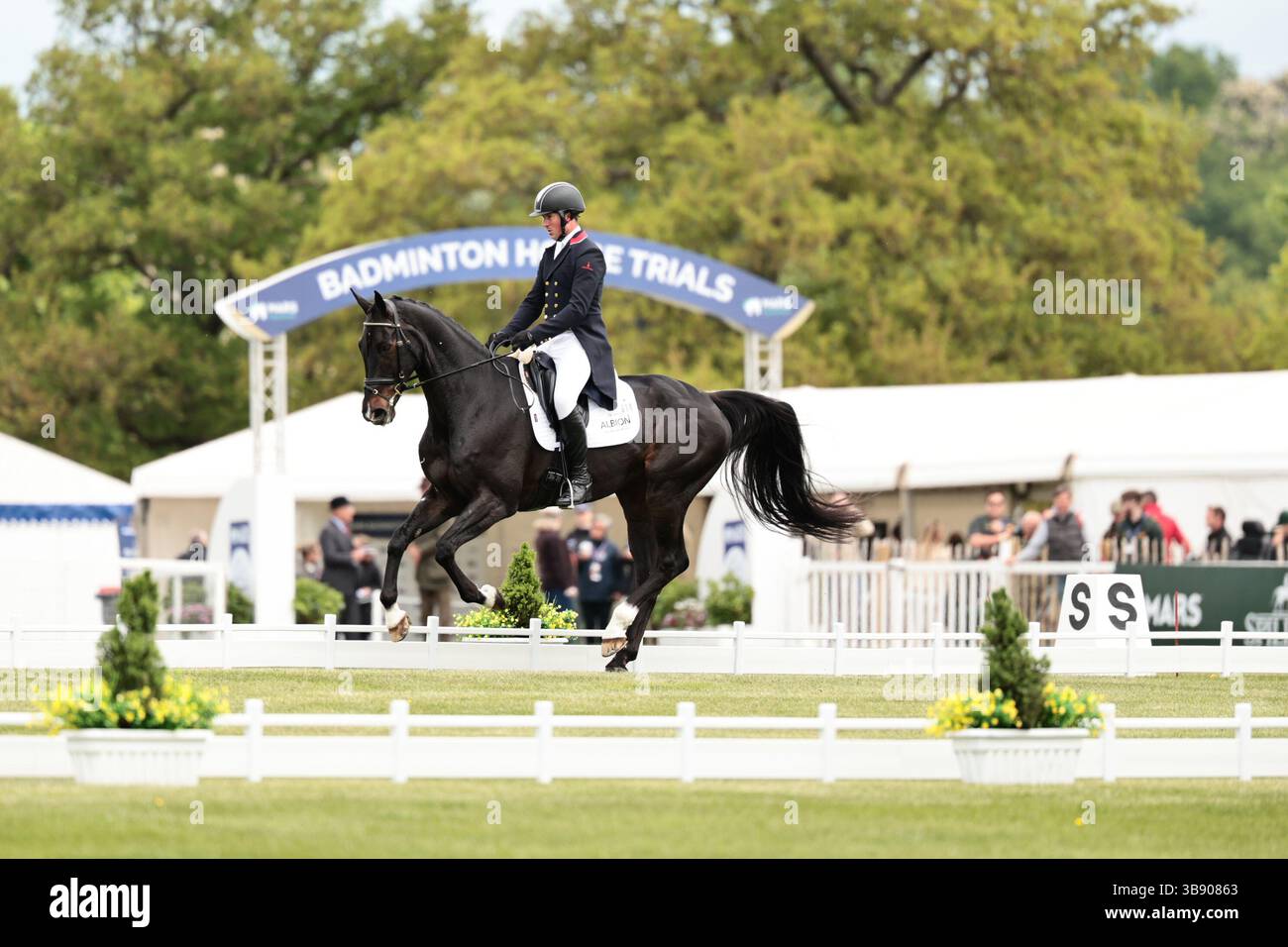 David Doel of Great Britain with Galileo Nieuwmoed during the dressage ...